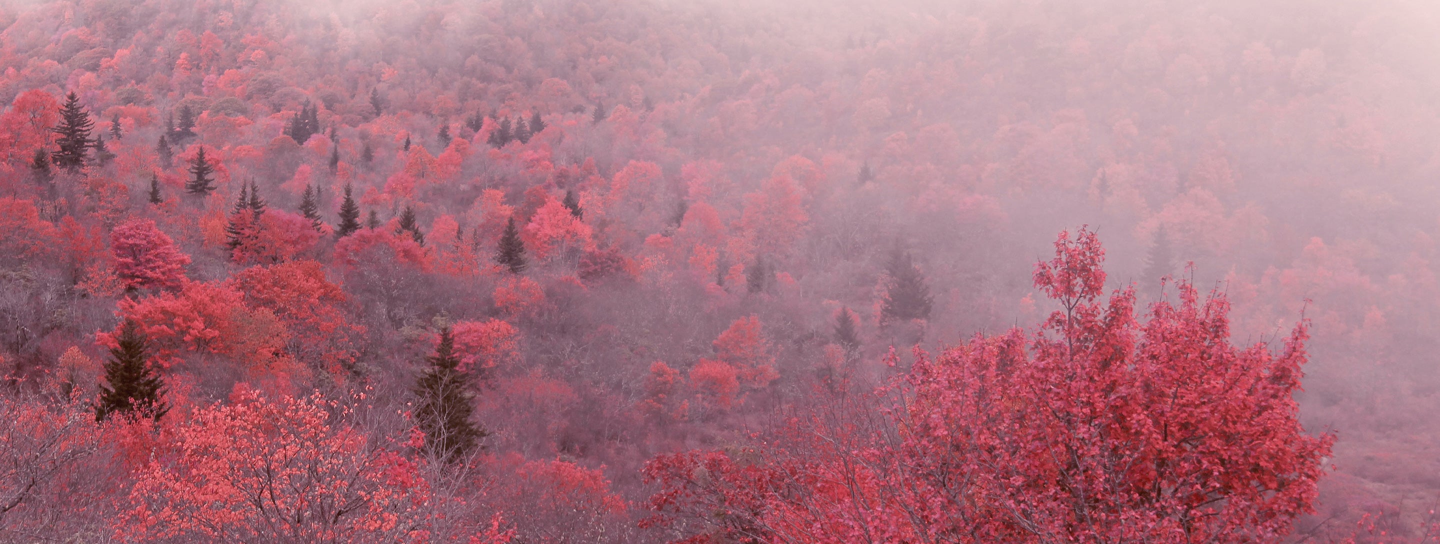 Fall Jeans Outfit Ideas for Chilly Weather